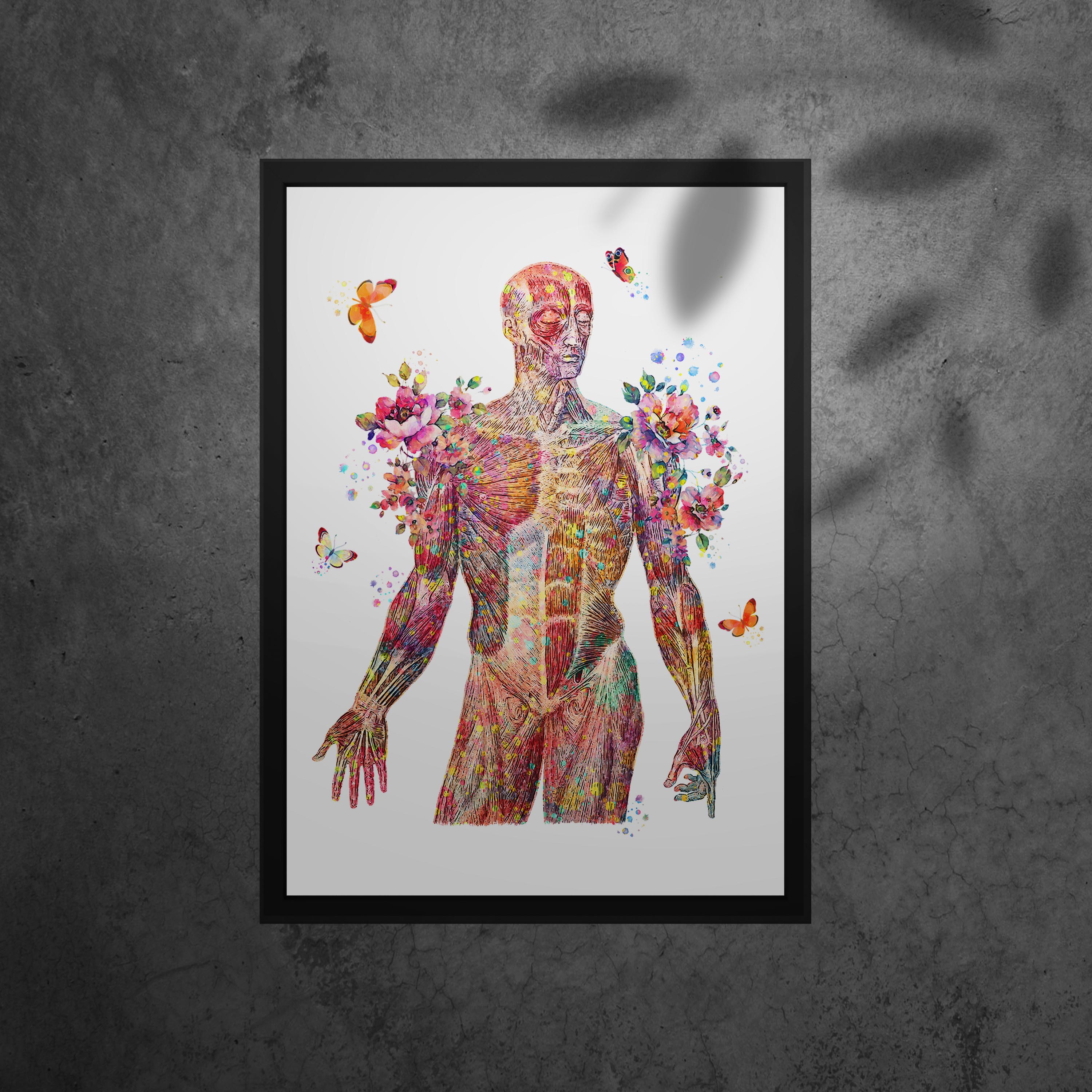 Muscular System Art - Framed Posters For Physiotherapist Clinics ...
