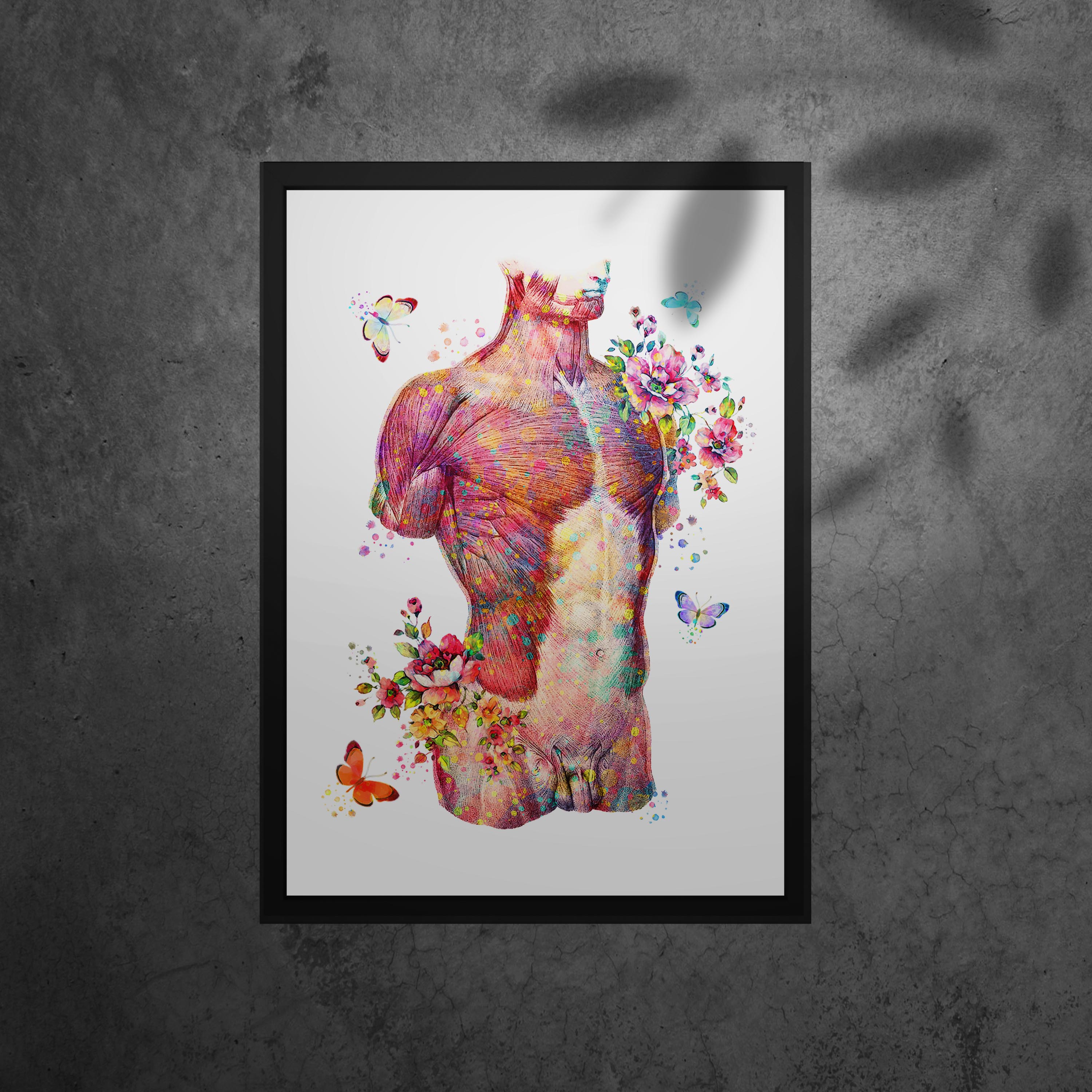 Muscular System Art - Framed Posters For Physiotherapist Clinics ...